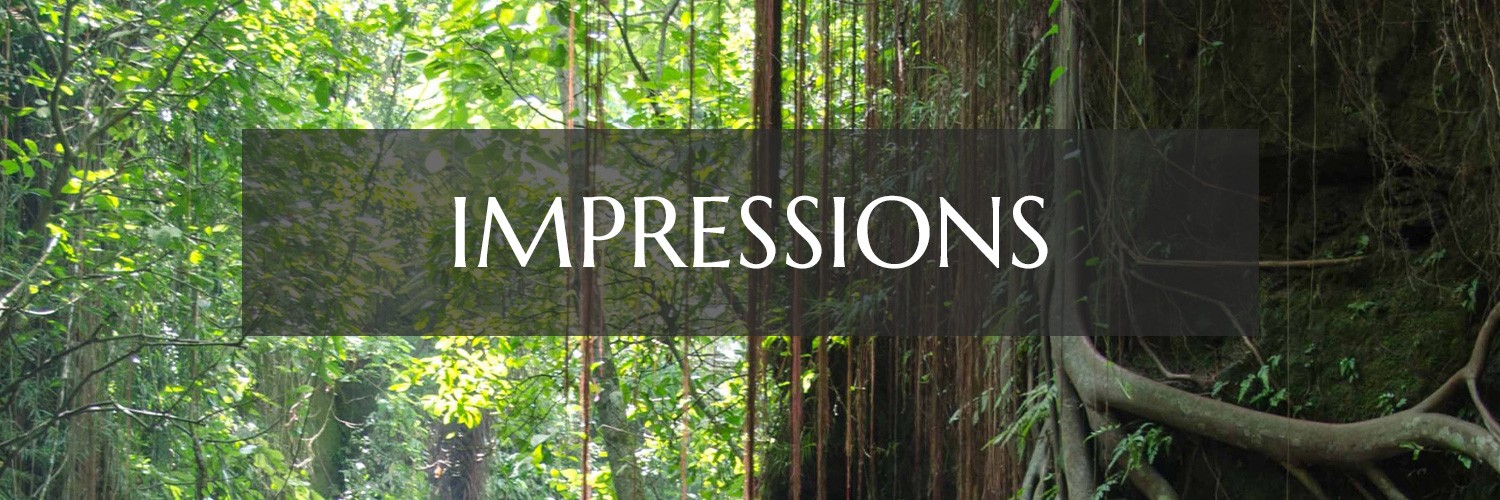 Welcome - Life Qi Center