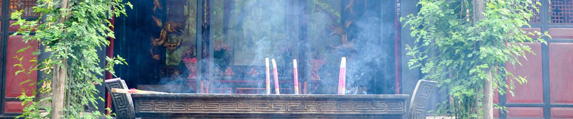 Life Qi Center - Life Qi Center